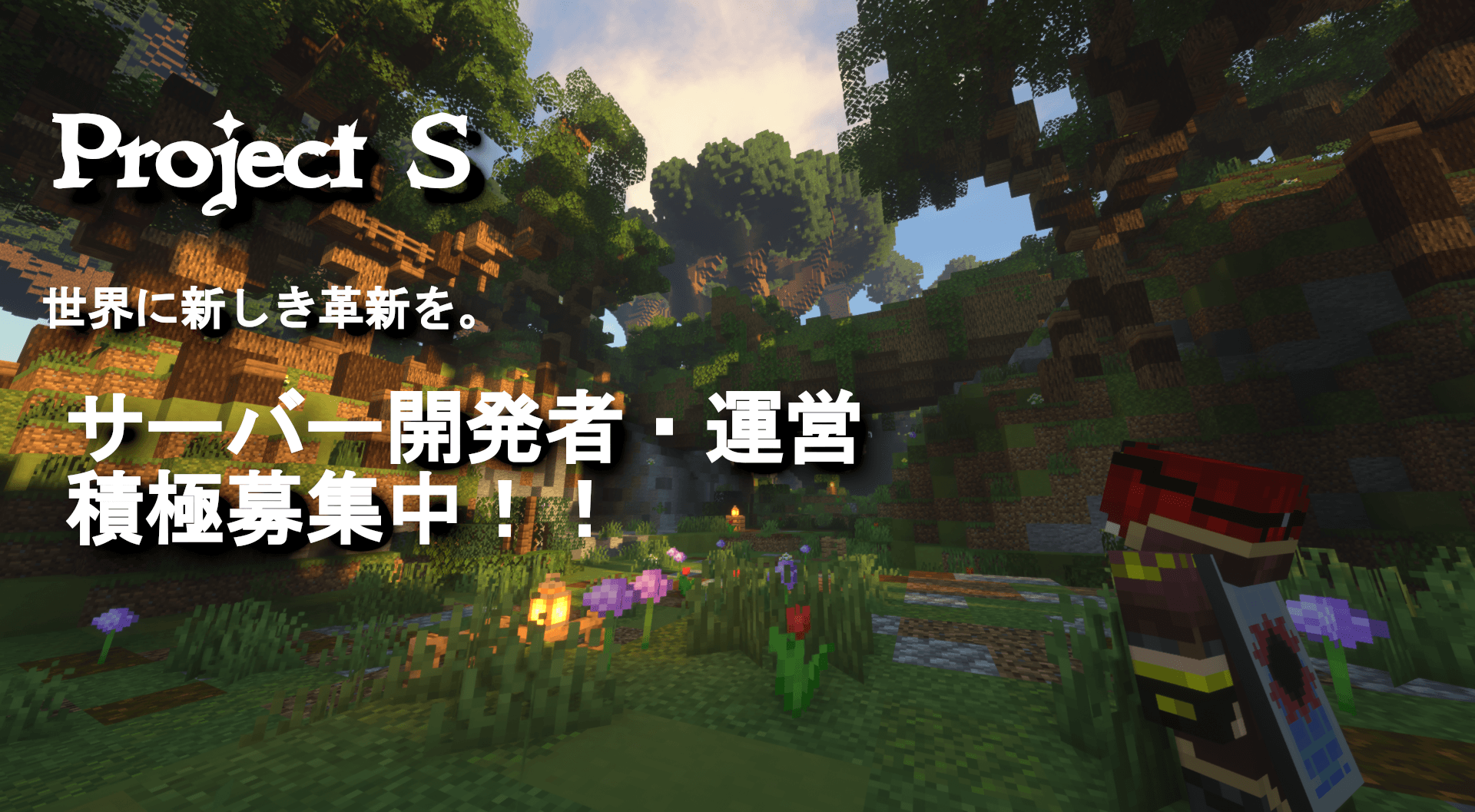【MMORPG開発スタッフ大募集！】ProjectS | MineIdea